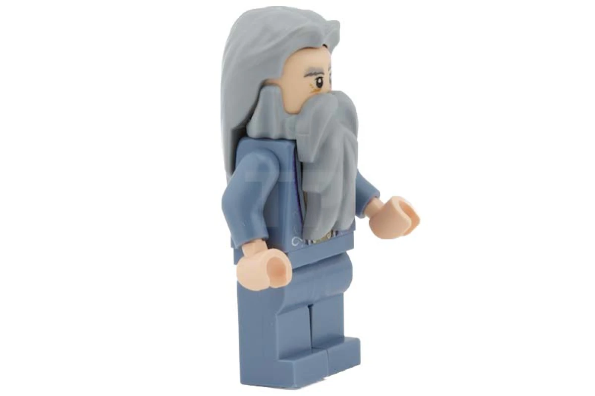 LEGO® hp099 Dumbledore - ToyPro