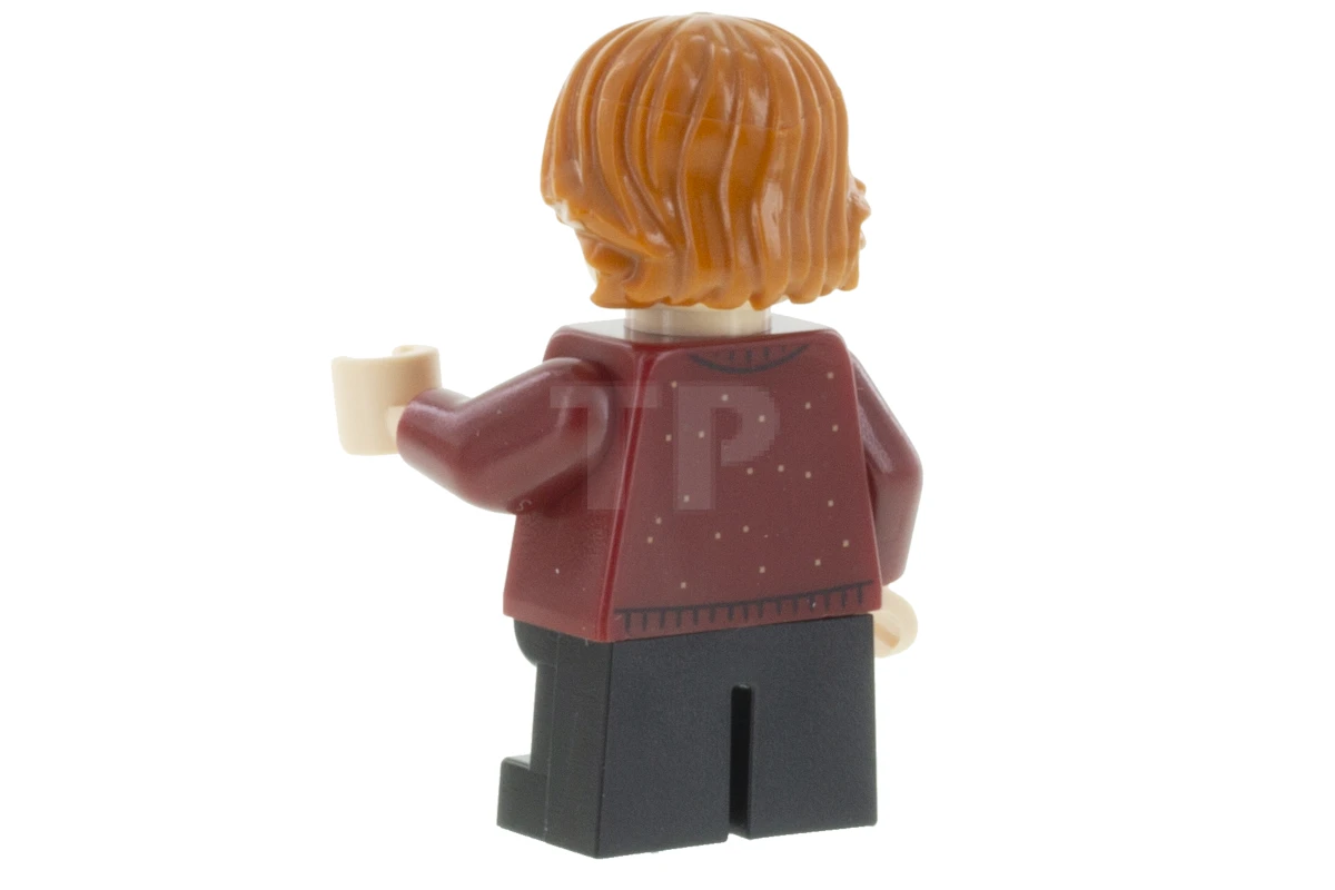 LEGO® hp207 Ron Weasley - ToyPro